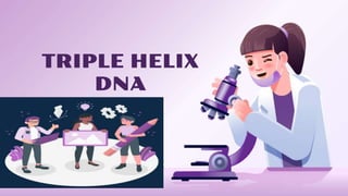 TRIPPLE HELIX DNA | PPTX | Chemistry | Science