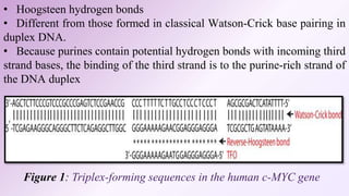TRIPPLE HELIX DNA | PPTX | Chemistry | Science