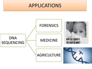 Dna sequencing (bacteriophage m13 and primer walking) | PPTX