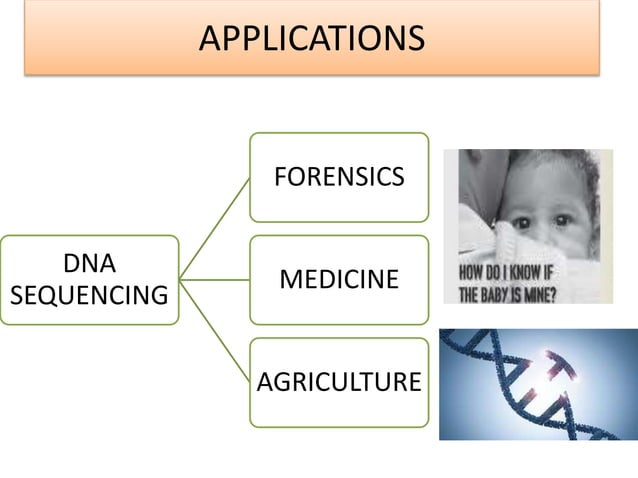 Dna sequencing (bacteriophage m13 and primer walking) | PPTX ...