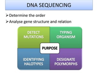 Dna sequencing (bacteriophage m13 and primer walking) | PPTX