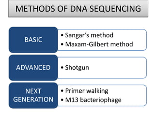 Dna sequencing (bacteriophage m13 and primer walking) | PPTX