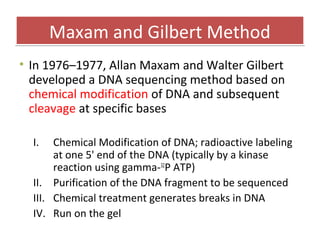 DNA Sequencing : Maxam Gilbert and Sanger Sequencing | PPT