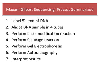 DNA Sequencing : Maxam Gilbert and Sanger Sequencing | PPT