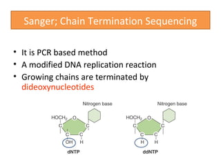 DNA Sequencing : Maxam Gilbert and Sanger Sequencing | PPT