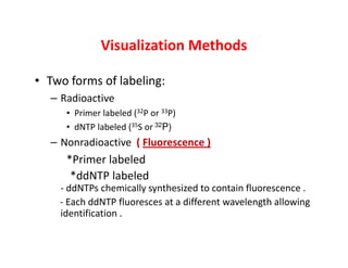 Dna sequencing | PDF