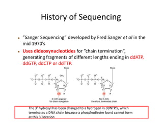 Dna sequencing | PDF