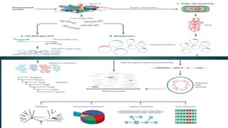 Dna sequencing in classification _microb | PPT