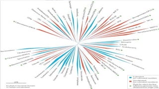 Dna sequencing in classification _microb | PPTX
