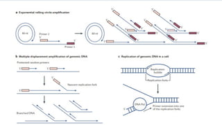 Dna sequencing in classification _microb | PPT