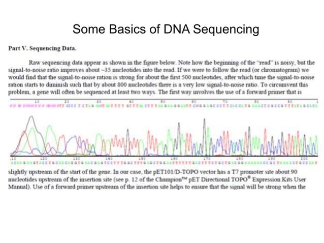 DNA Sequencing Lecture | PPT