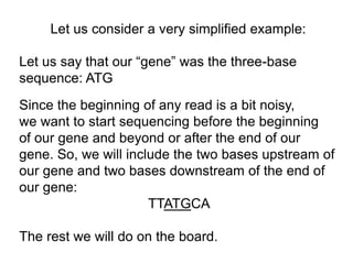 DNA Sequencing Lecture | PPT