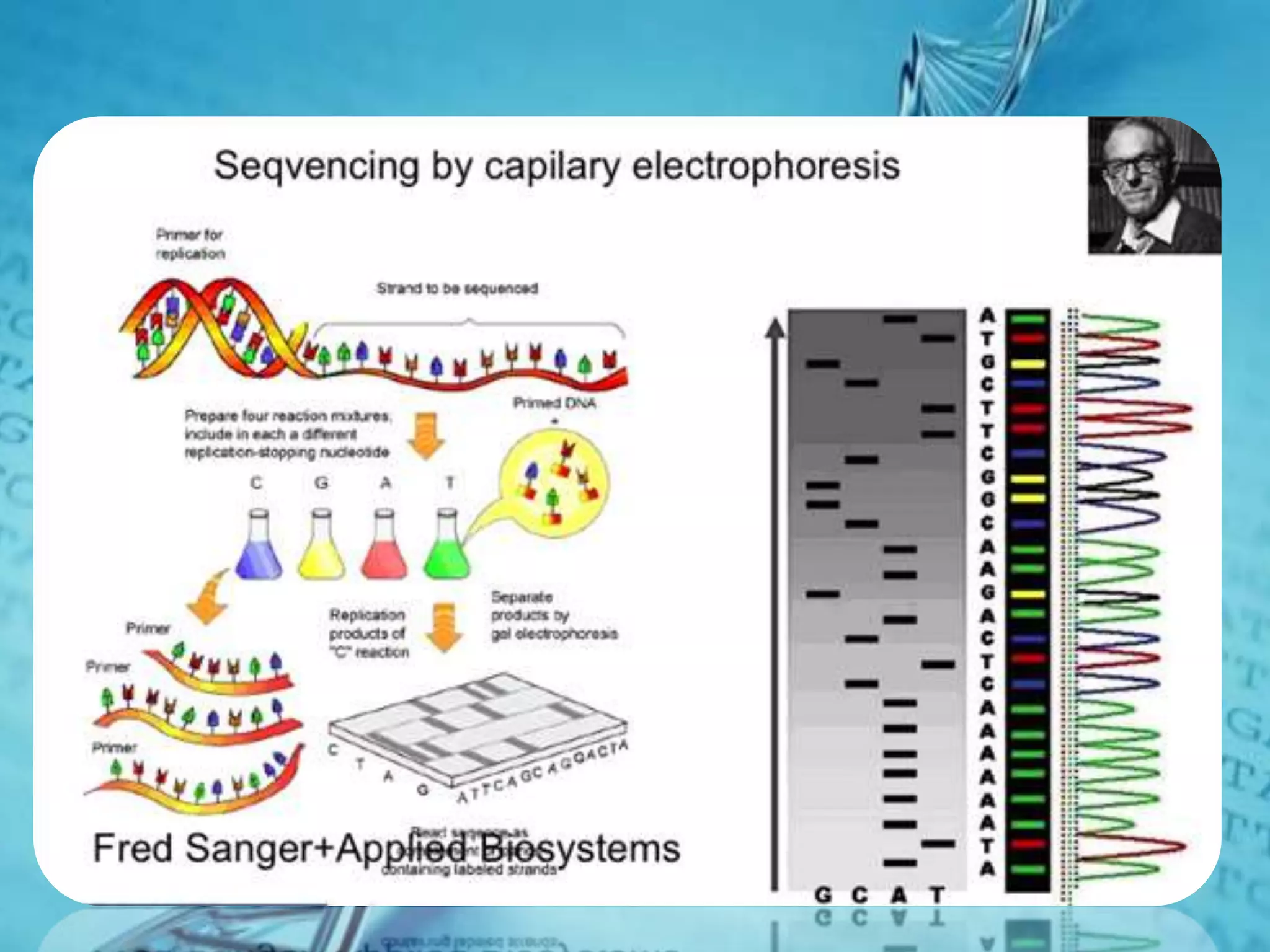 Dna sequencing | PPTX