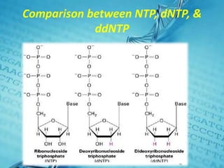 Dna sequencing | PPTX