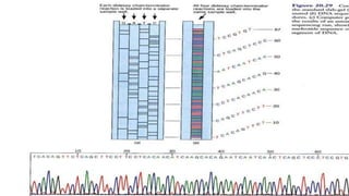 DNA sequencing mapping pdf.pdf