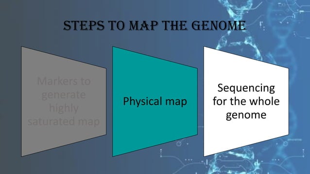 DNA sequencing mapping pdf.pdf
