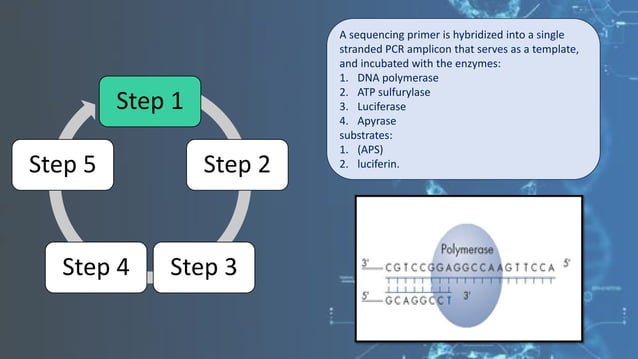 DNA sequencing mapping pdf.pdf