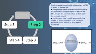 DNA sequencing mapping pdf.pdf