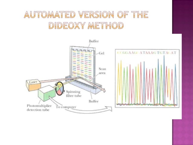 Dna sequencing methods | PPT | Chemistry | Science