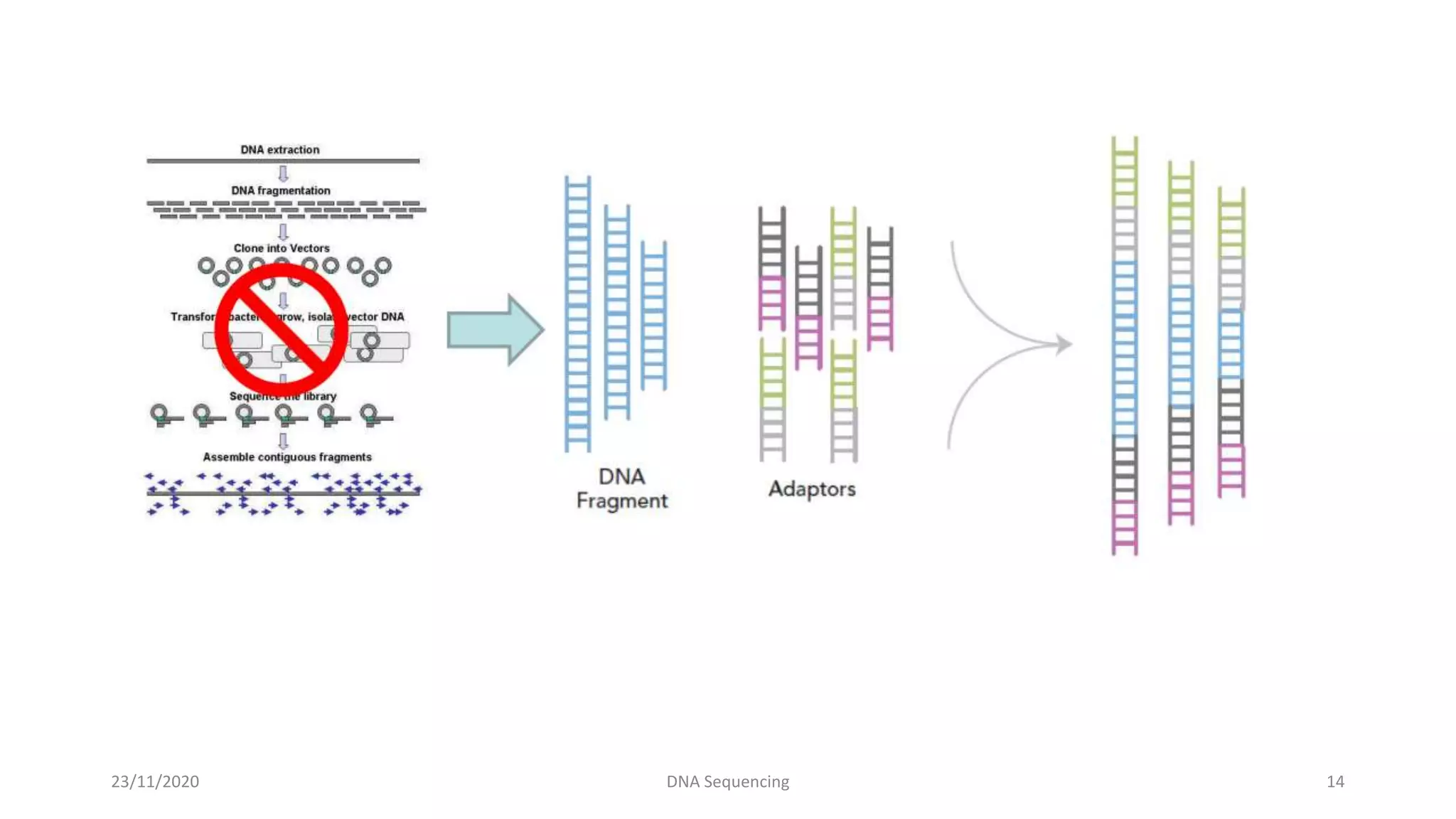 Dna sequencing methods | PPTX