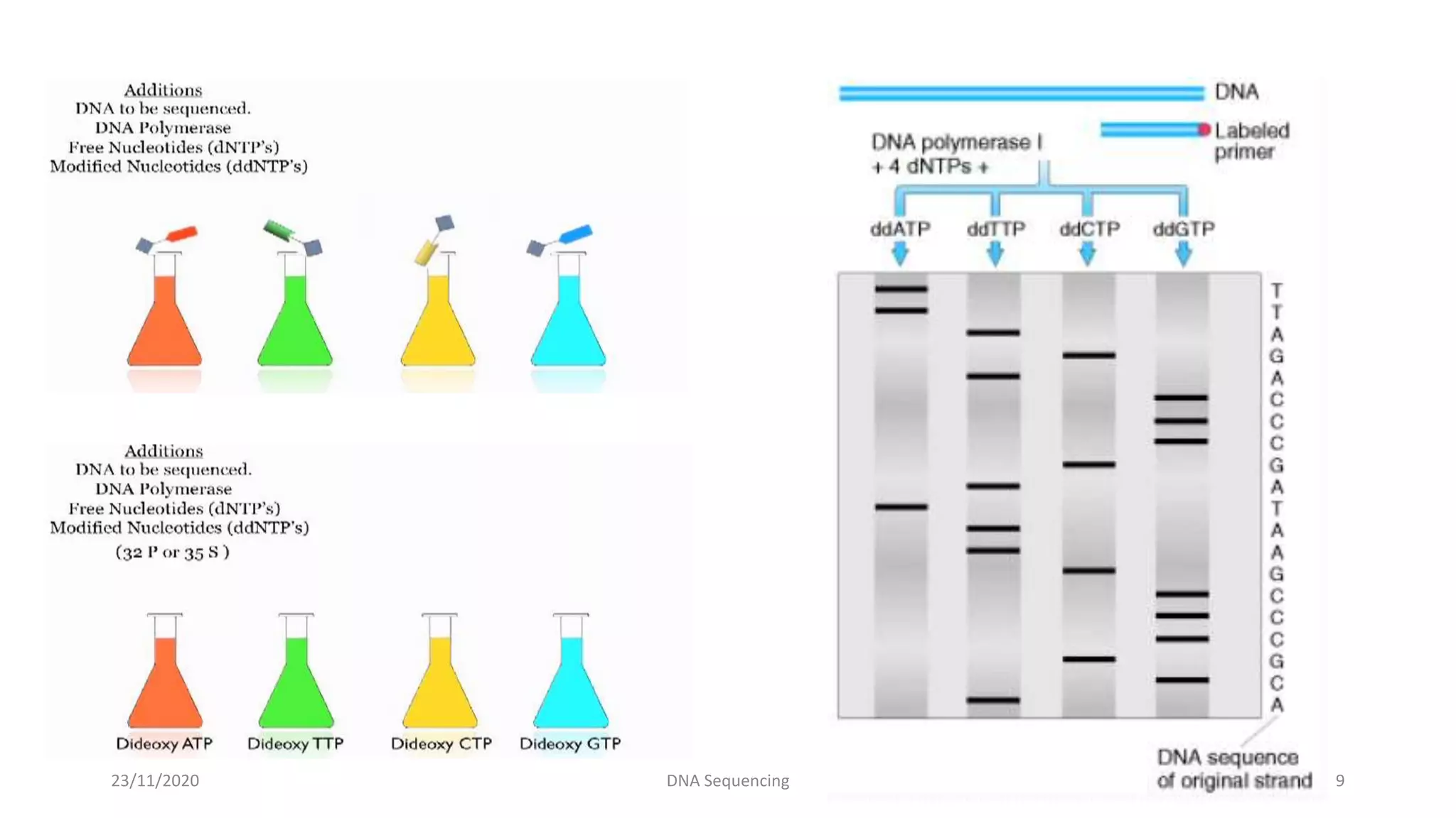 Dna sequencing methods | PPTX