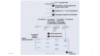 Dna sequencing methods | PPTX