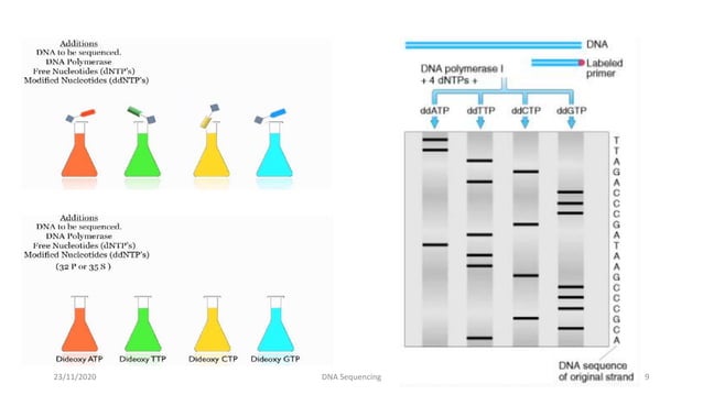 Dna sequencing methods | PPTX