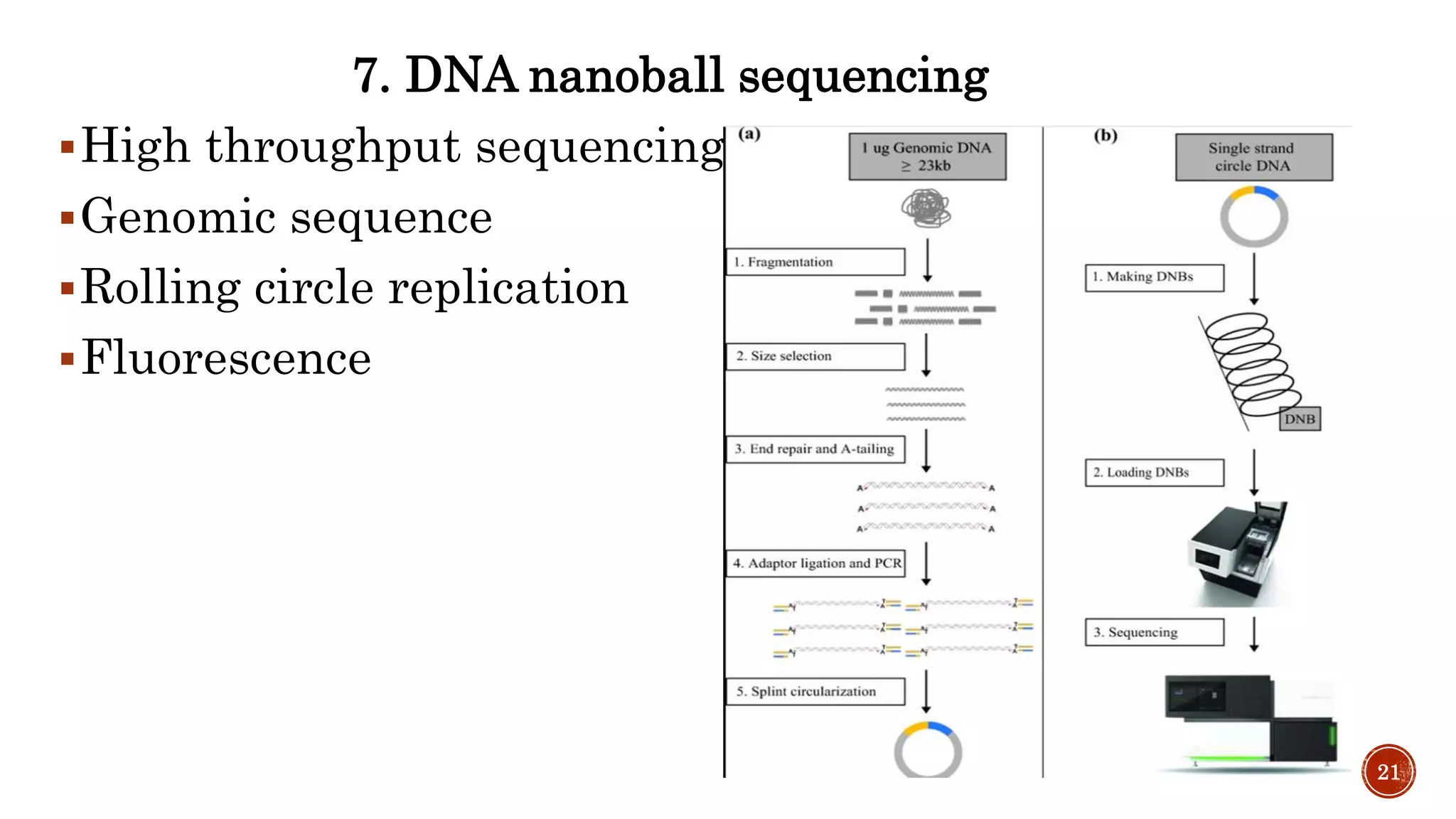 DNA sequencing methods | PPTX