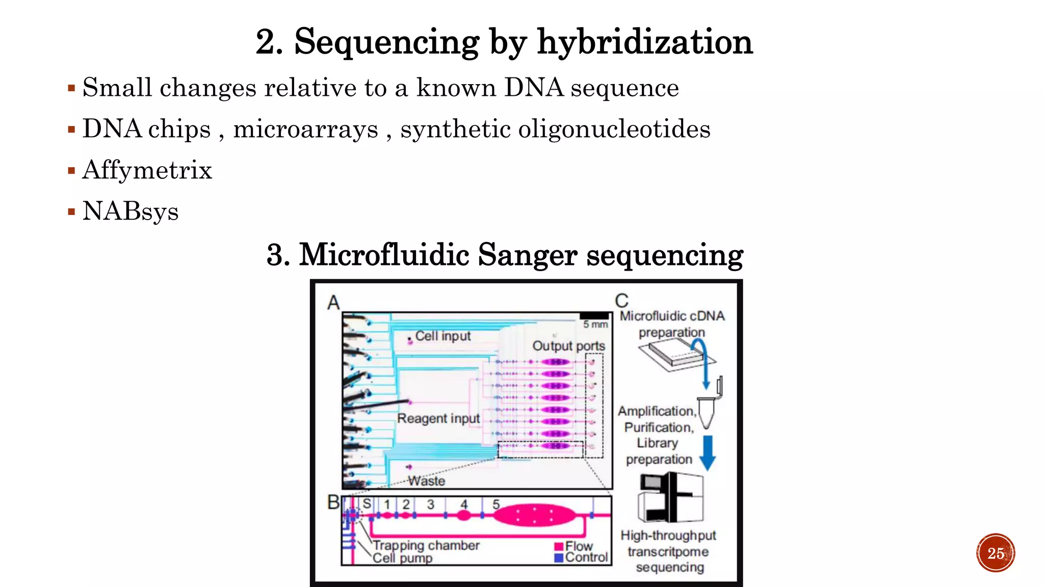 DNA sequencing methods | PPTX | Chemistry | Science
