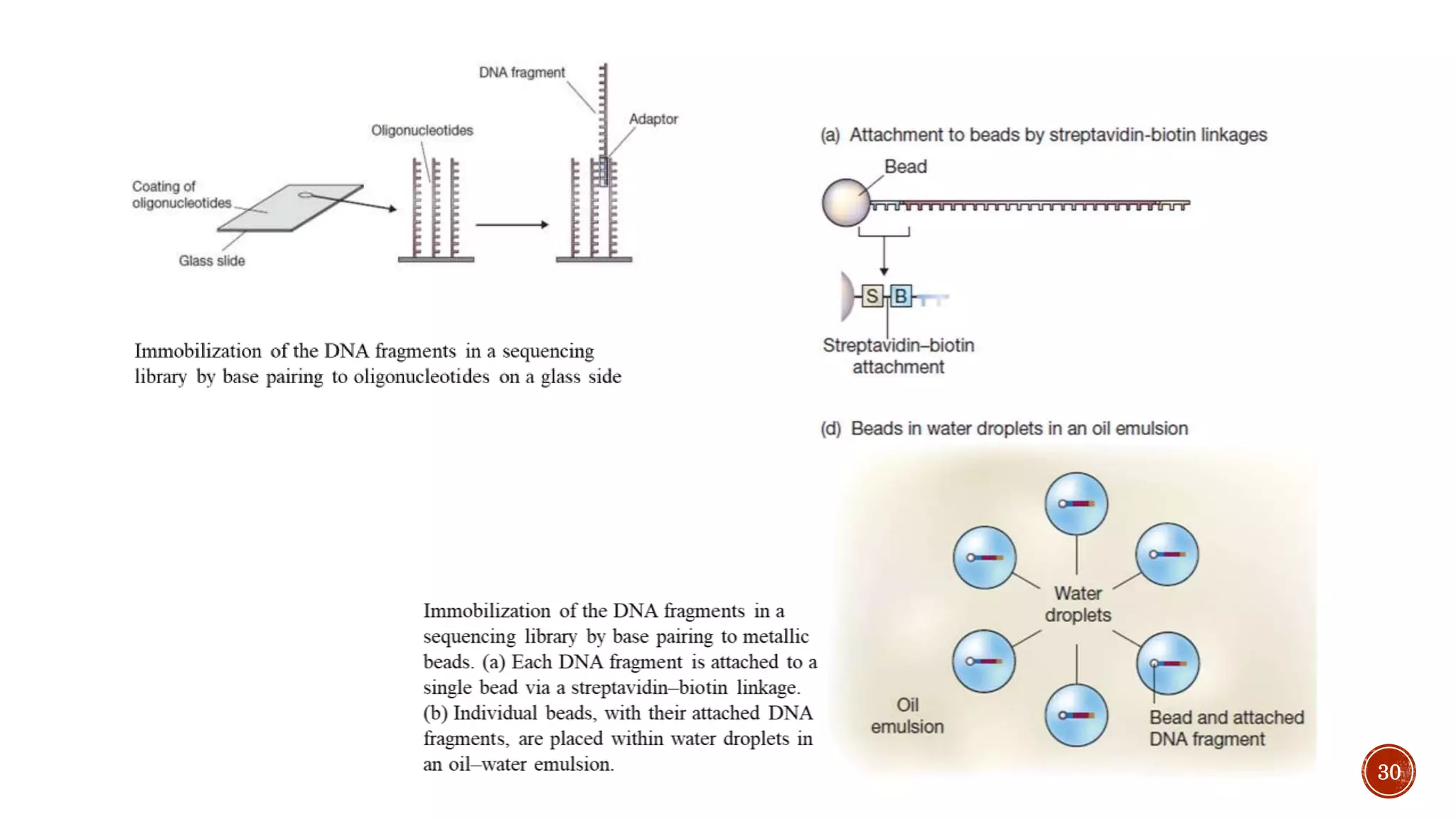 DNA sequencing methods | PPTX