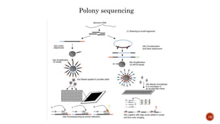 DNA sequencing methods | PPT