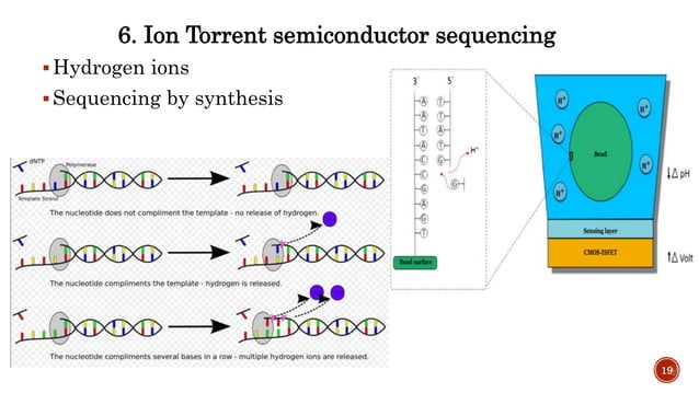 DNA sequencing methods | PPTX | Chemistry | Science