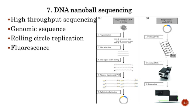 DNA sequencing methods | PPTX | Chemistry | Science