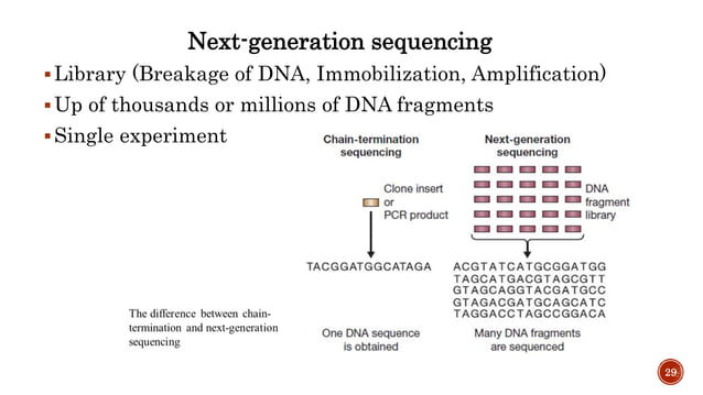 DNA sequencing methods | PPTX | Chemistry | Science