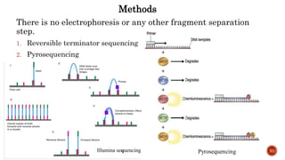 DNA sequencing methods | PPTX