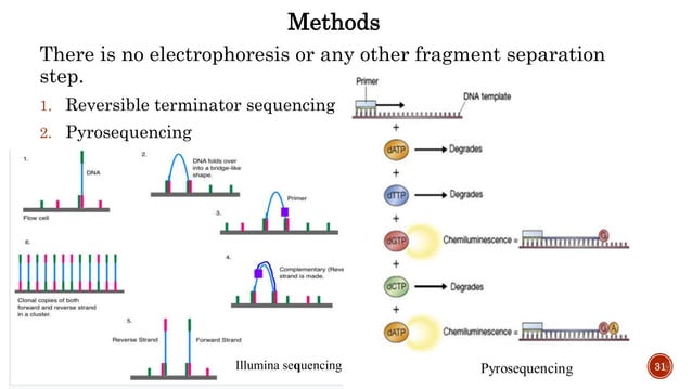 DNA sequencing methods | PPTX | Chemistry | Science