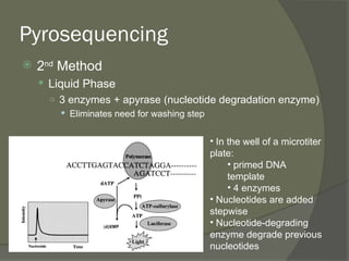 DNA Sequencing Methods.pptggggggggyyyyyy | PPT