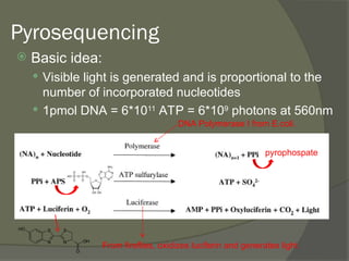 DNA Sequencing MethodsSDFGHJKJHGFDSDFGHJKMNBVCX | PPT