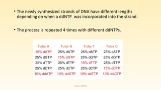 Dna sequencing methods sudha's | PPT