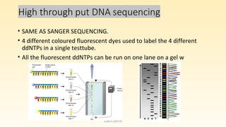 Dna sequencing methods sudha's | PPT