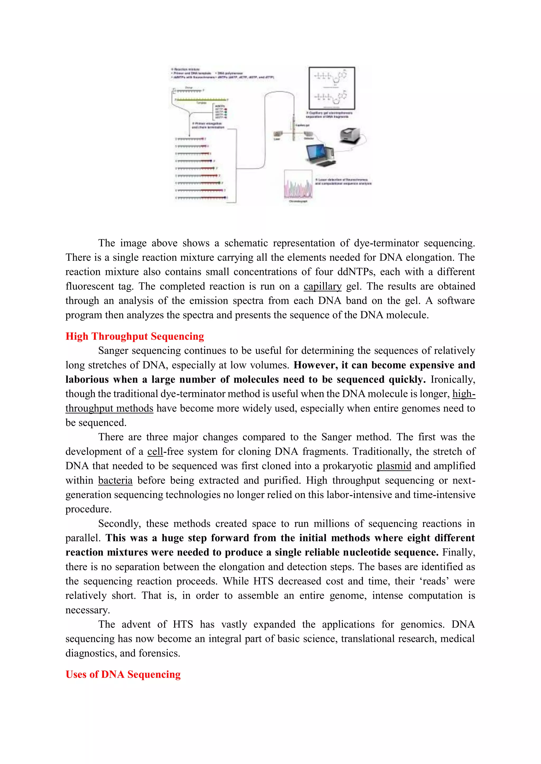 -DNA Sequencing Notes.pdf