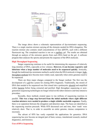 -DNA Sequencing Notes.pdf