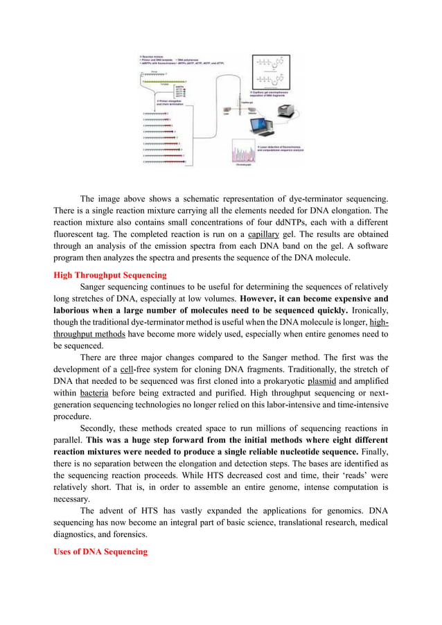 -DNA Sequencing Notes.pdf | Biological Sciences | Science