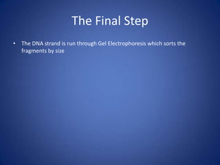 Dna sequencing powerpoint | PPTX