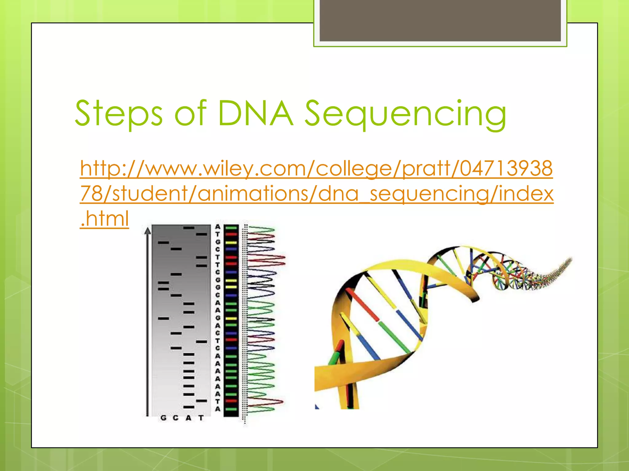 Dna sequencing pp | PPTX