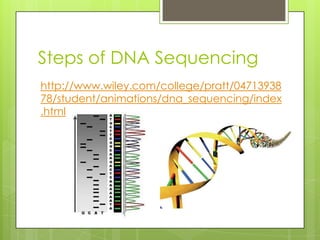 Dna sequencing pp | PPTX