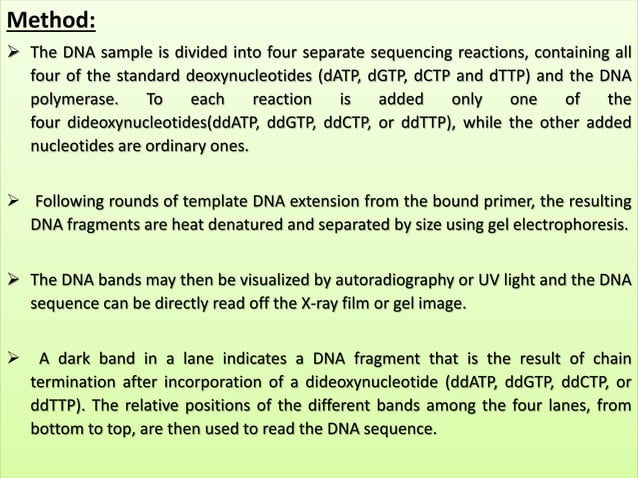 Dna sequencing ppt | PPTX
