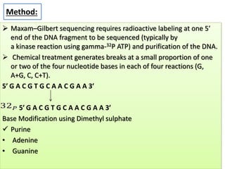 Dna sequencing ppt | PPTX