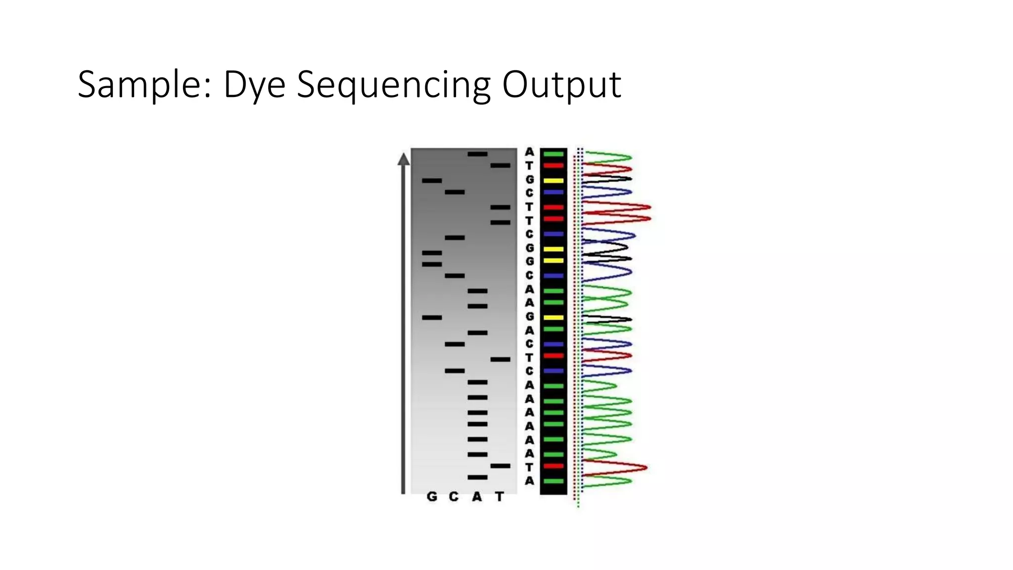 Dna sequencing techniques | PPTX