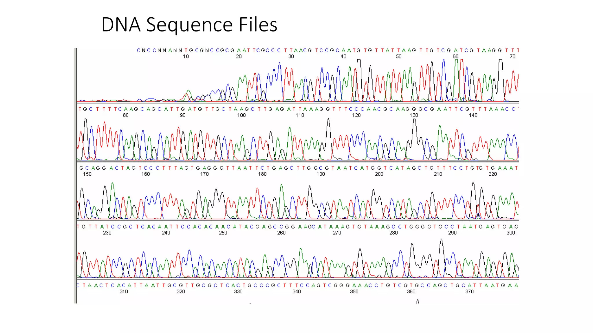 Dna sequencing techniques | PPTX